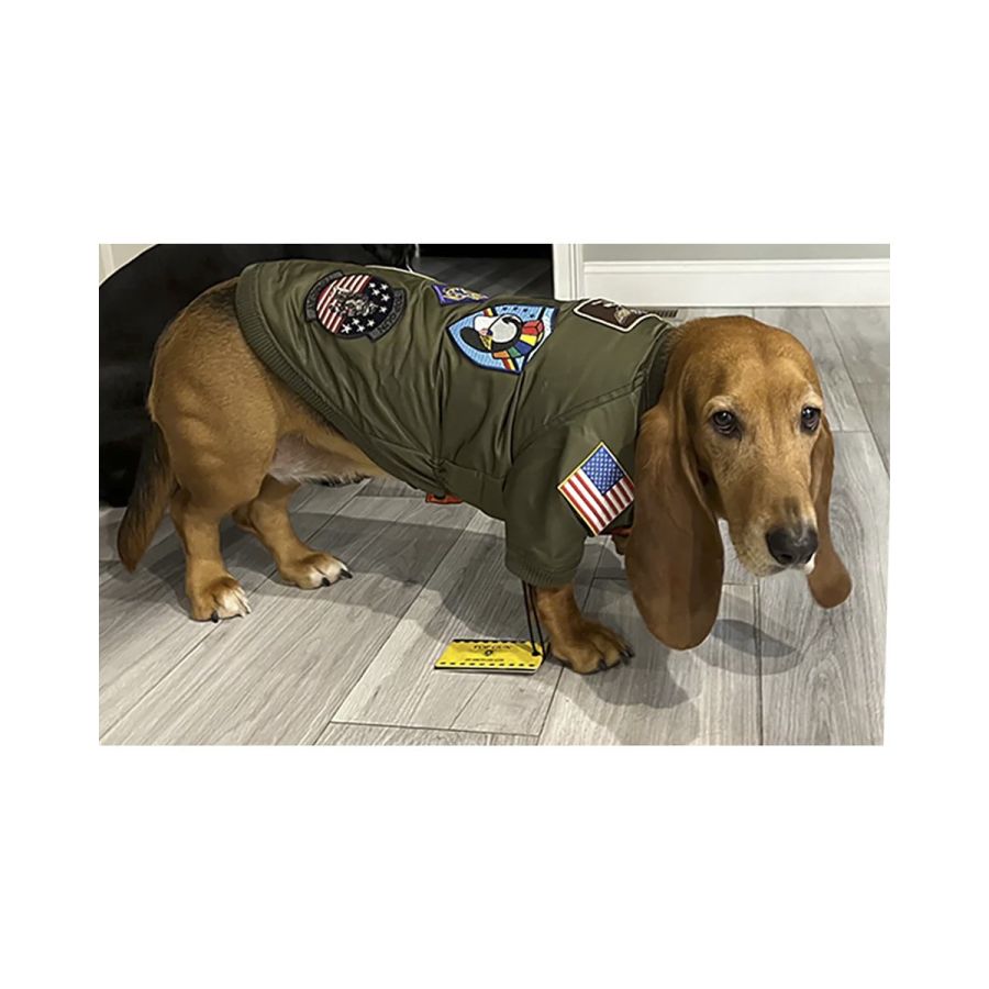 Top Gun Dogs Flight Jacket