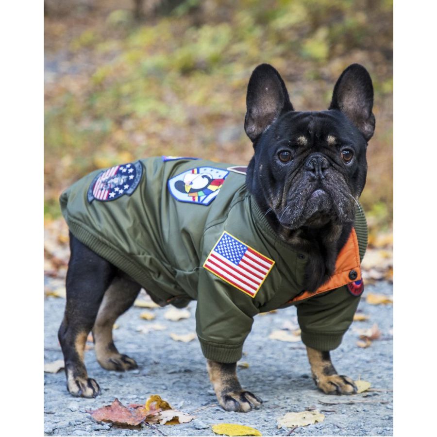 Top Gun Dogs Flight Jacket
