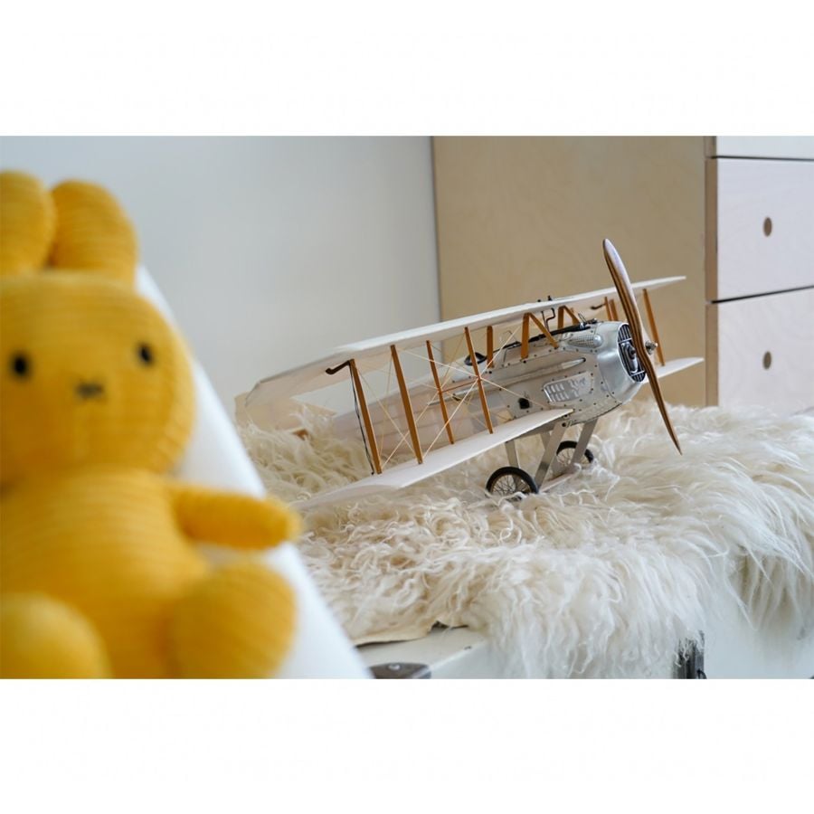 Spad Aircraft (Transparent) Aircraft Model